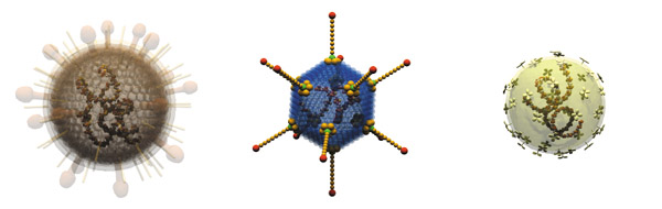 DOSCH DESIGN - DOSCH 3D: Medical - Viruses